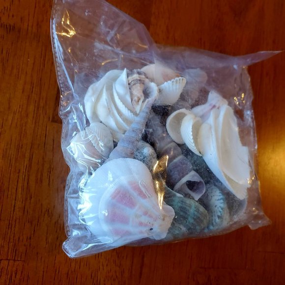 Office | Sea Shells Assorted Shells For Crafts Soil Topper Vase Filler ...